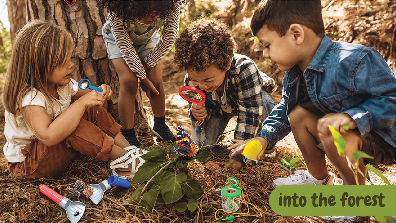 Into the Forest School - the ultimate outdoor classroom – eduk8worldwide
