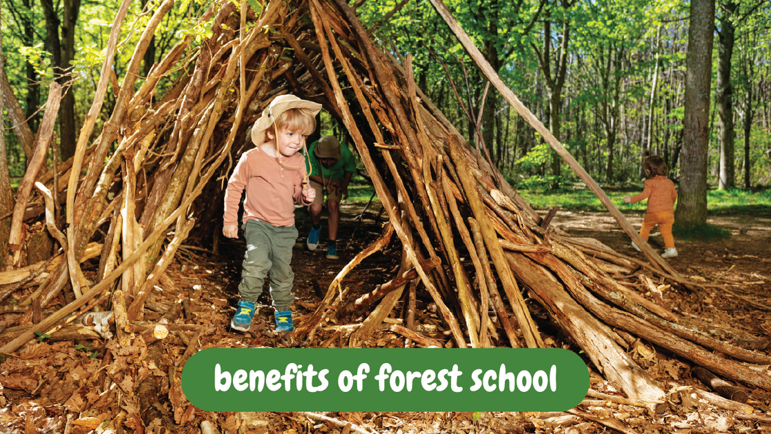 🌳🌲 What are the Benefits of Forest Schools?